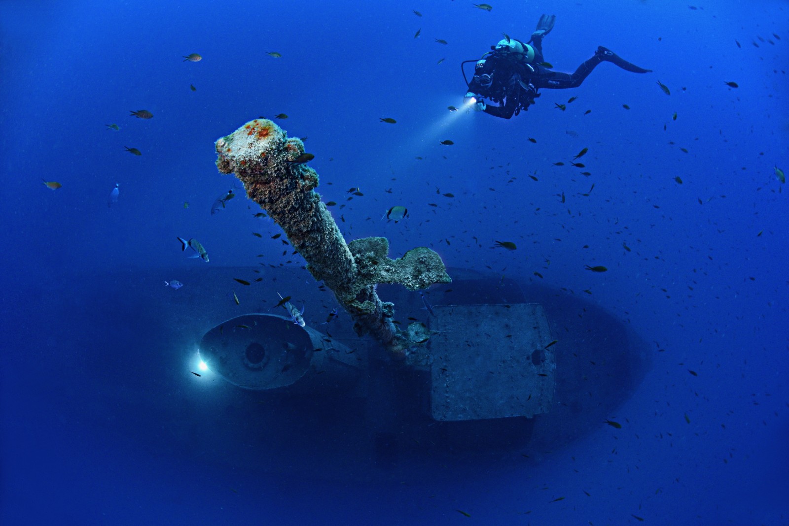 Guarda il Webinar Diving, i migliori siti per immersioni